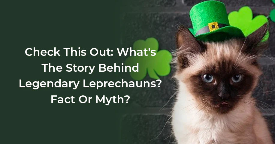 Check This Out: What's The Story Behind Legendary Leprechauns? Fact Or ...